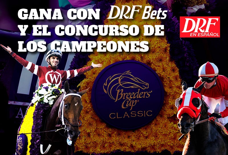 DRF en Español premia a los miembros de DRF Bets con el Concurso de los Campeones Breeders’ Cup 2022